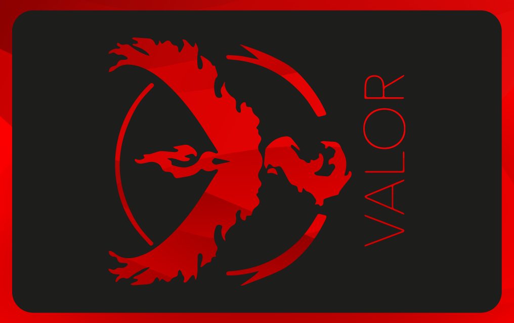 Become an official trainer and display your team's colors