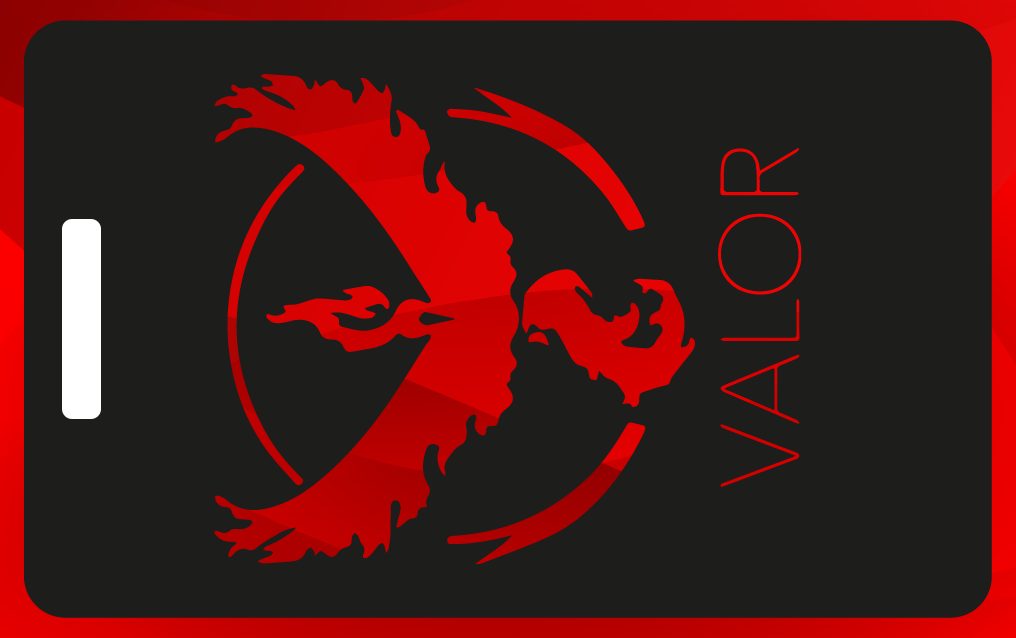 Become an official trainer and display your team's colors